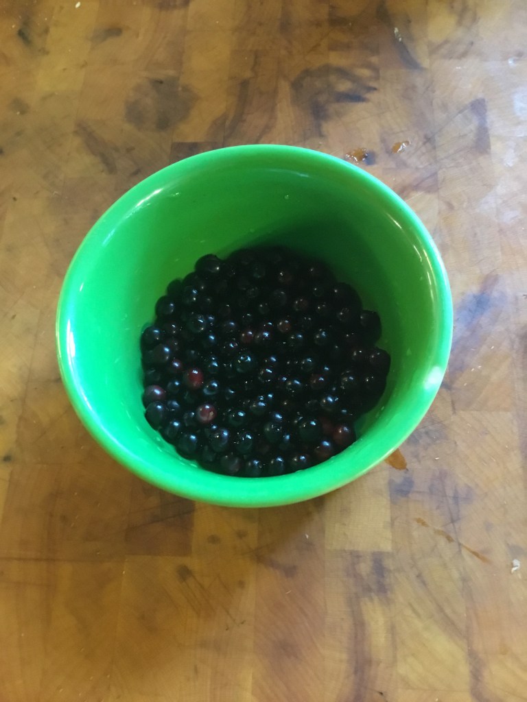 Wild Blueberries – Southern Fusion Cooking