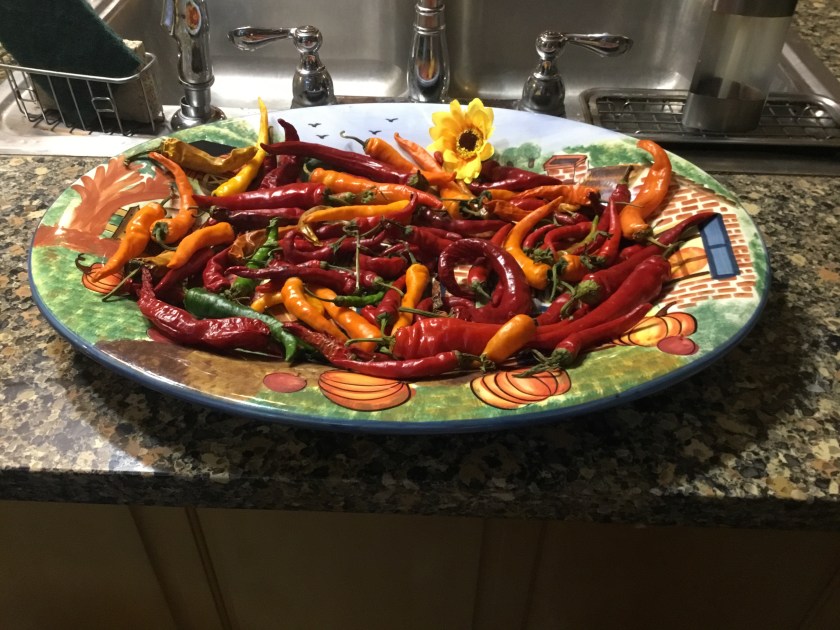 Hot Stuff! – Southern Fusion Cooking