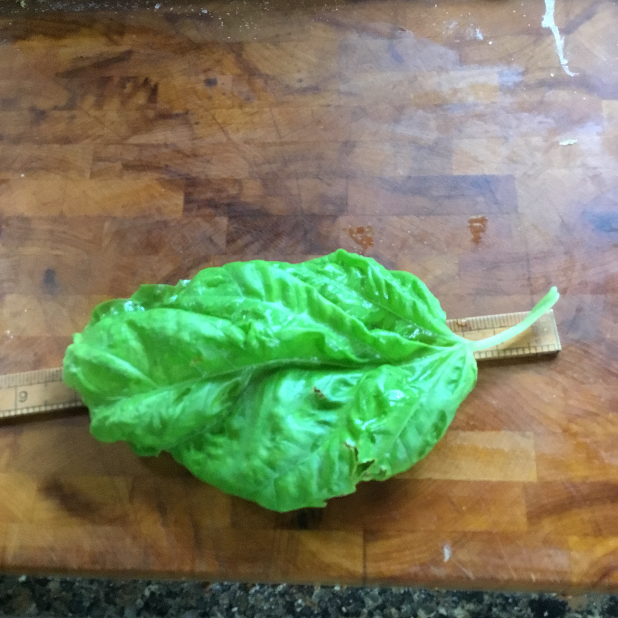 Tuscan Basil – Southern Fusion Cooking